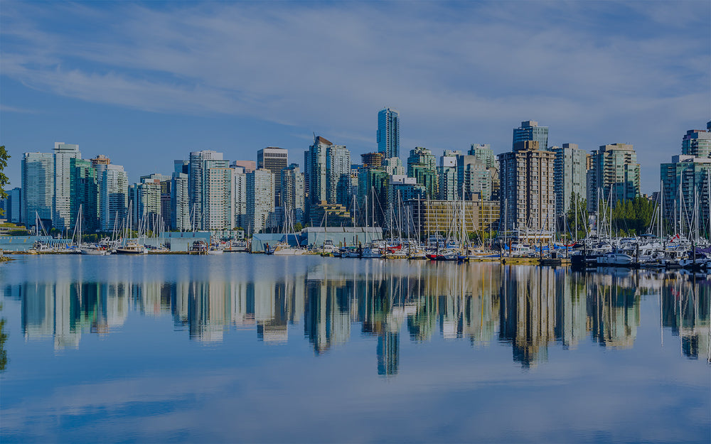 The Arius Technology Team - Verus Art, an Arius Technology Company